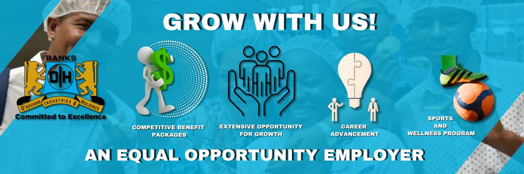 Home | Banks DIH Ltd.