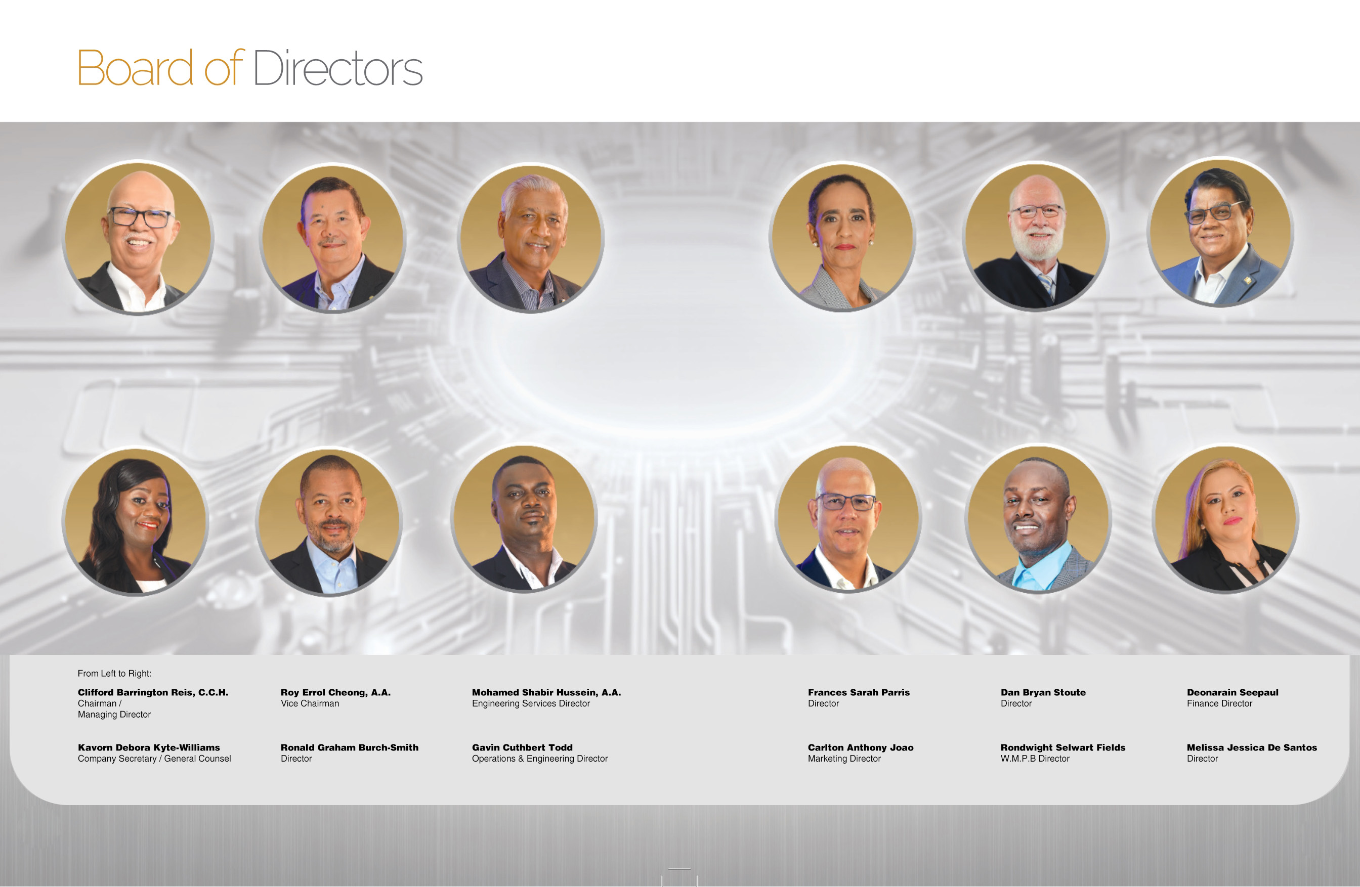 Board of Directors | Banks DIH Ltd.